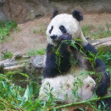 "Stylized photo of Bai Yun, a giant panda. Hers was the first ...