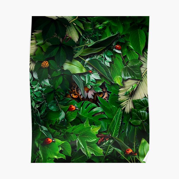 "Ladybirds in the Jungle" Poster for Sale by KarynPDesigns | Redbubble
