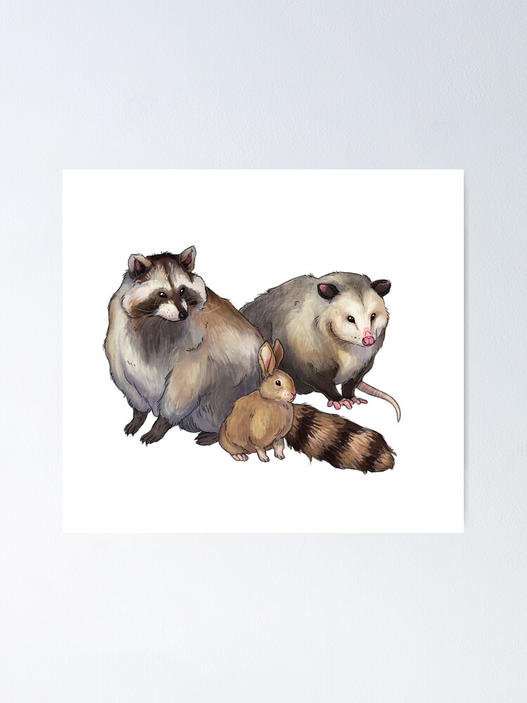 "Critter Friends (Raccoon, Rabbit, and Opossum)" Poster for Sale by ...