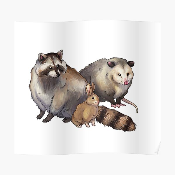 "Critter Friends (Raccoon, Rabbit, and Opossum)" Poster for Sale by ...