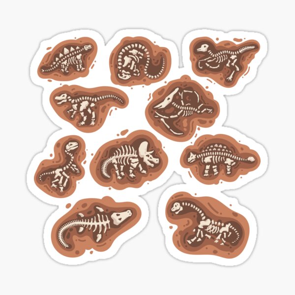 "Dinosaur Fossils" Sticker for Sale by MuchY1 | Redbubble