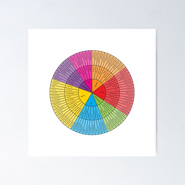 "Wheel of Emotions + Feelings | Rainbow + Black on White | American ...