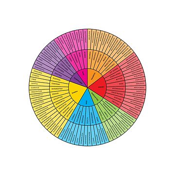 "Wheel of Emotions + Feelings | Rainbow + Black on White | American ...