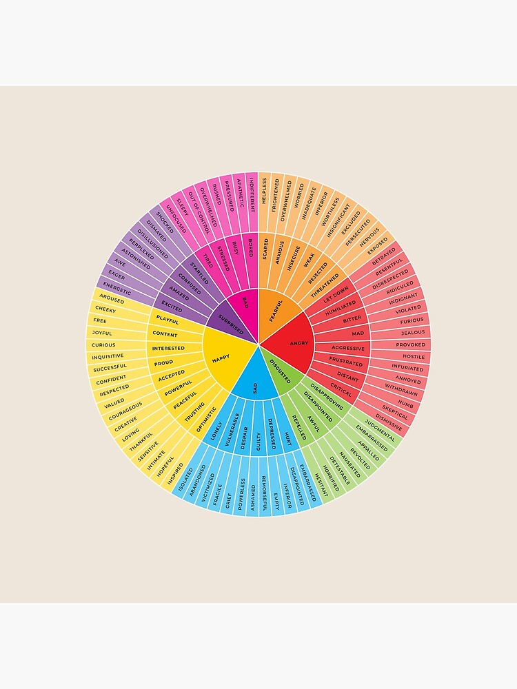 "Wheel of Emotions + Feelings | Rainbow + Monochrome on Sand | American ...