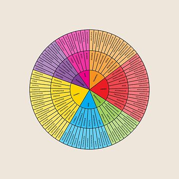 "Wheel of Emotions + Feelings | Rainbow + Black on Sand | American ...