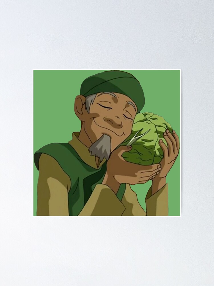 "Cabbage Guy - Avatar The Last Airbender" Poster for Sale by PopAltArt ...