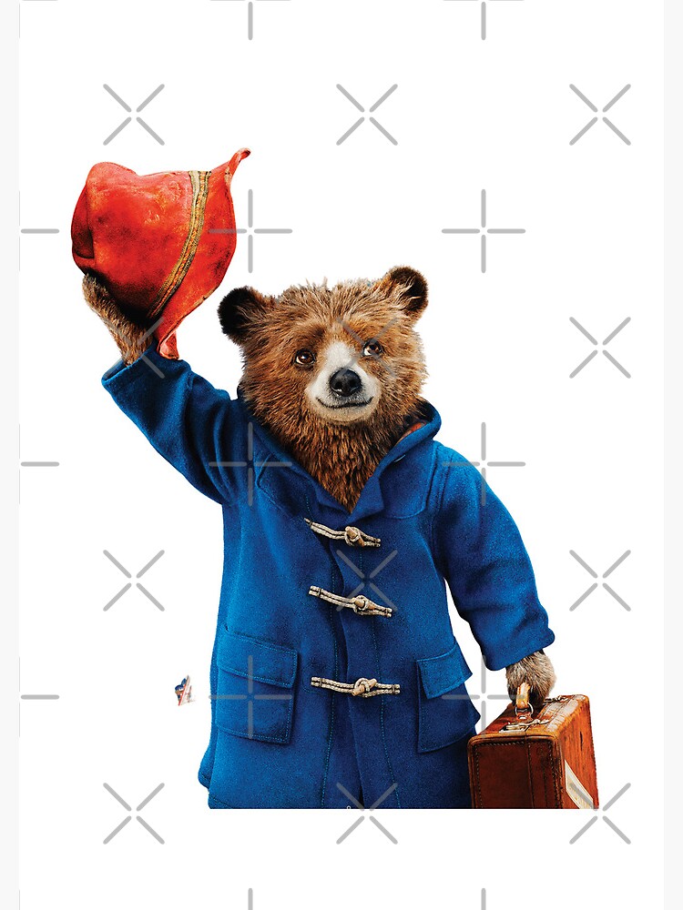 "paddington bear paddington bear paddington bear paddington bear ...