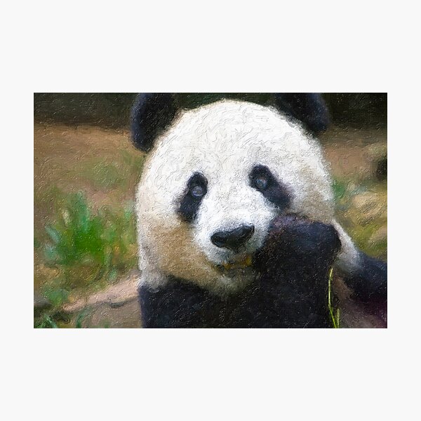 "Stylized photo of Bai Yun, a giant panda. Hers was the first ...