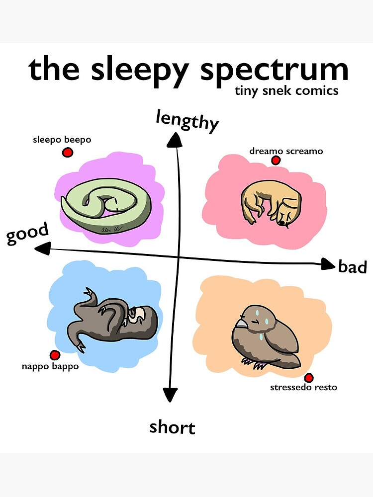 "The Sleepy Spectrum - Tiny Snek Comics" Photographic Print by acohen110 | Redbubble