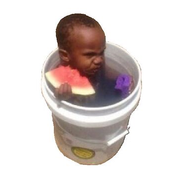 "Bucket Meme" Sticker for Sale by notmikeoxhard | Redbubble