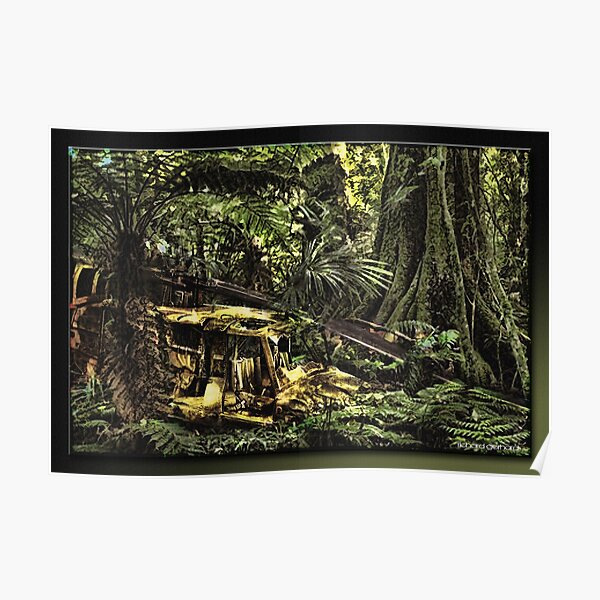 "Hidden" Poster by rgerhard | Redbubble