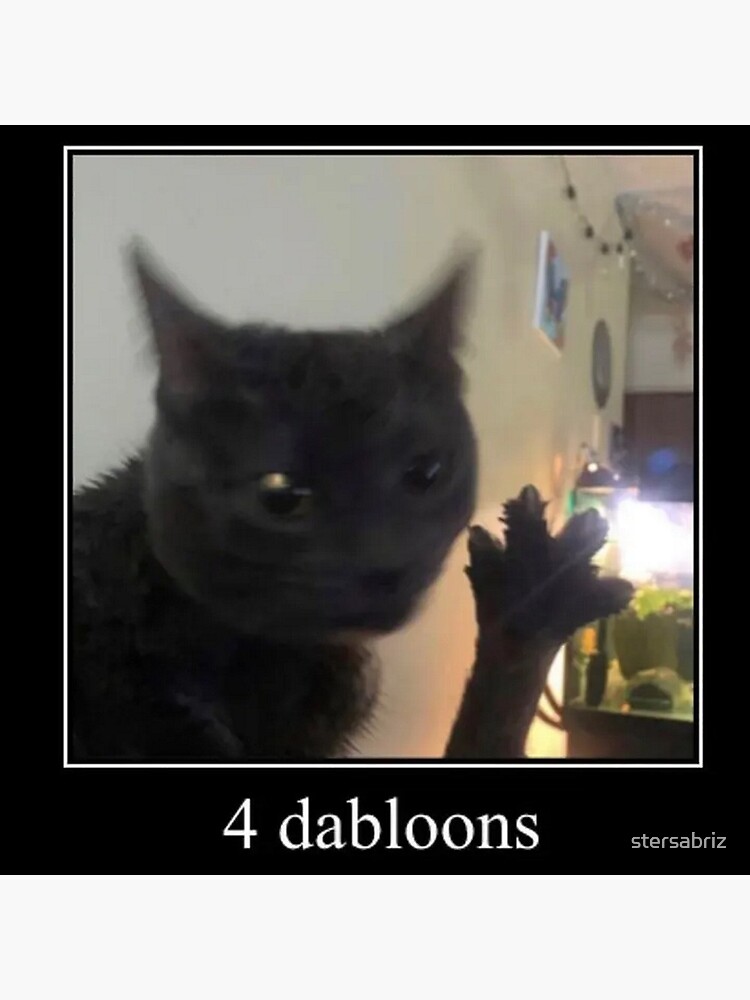 Meme De Gato De 4 Doblones