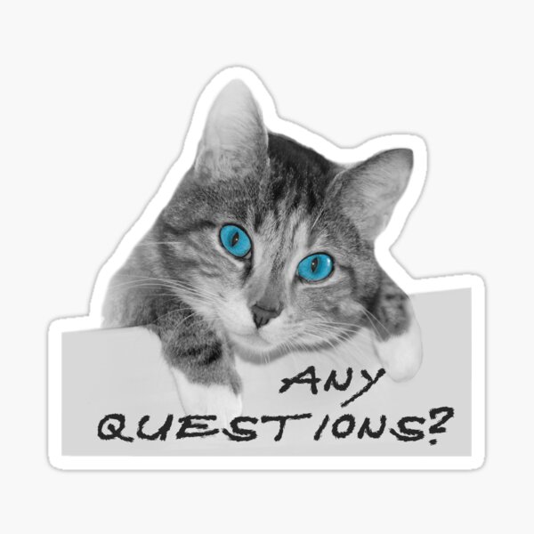 "Any Questions? Cute Blue Eyes Cat " Sticker for Sale by MONLart ...