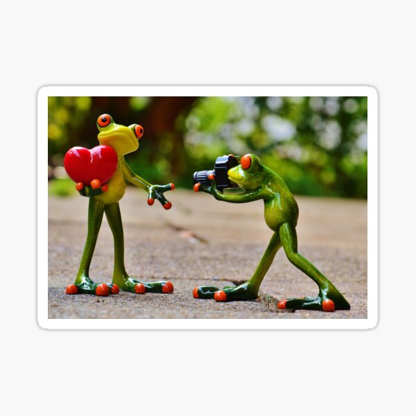 "Froggy Photoshoot - Funny Frog Love Meme" Sticker for Sale by Homely ...