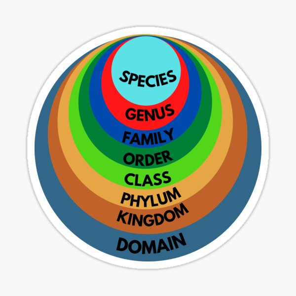 "Taxonomic classification" Sticker for Sale by ScienceStores | Redbubble