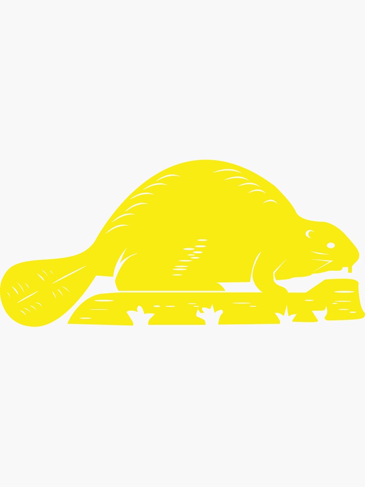 "Flag of Oregon (reverse)" Sticker for Sale by wickedcartoons | Redbubble