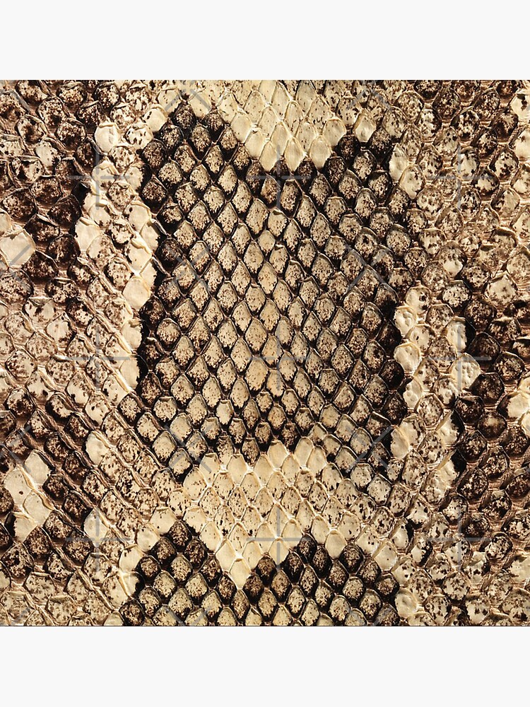 "Snake skin up close with diamond pattern scales and dark brown ...