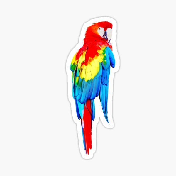 "Parrot" Sticker for Sale by Mrtravicimo | Redbubble