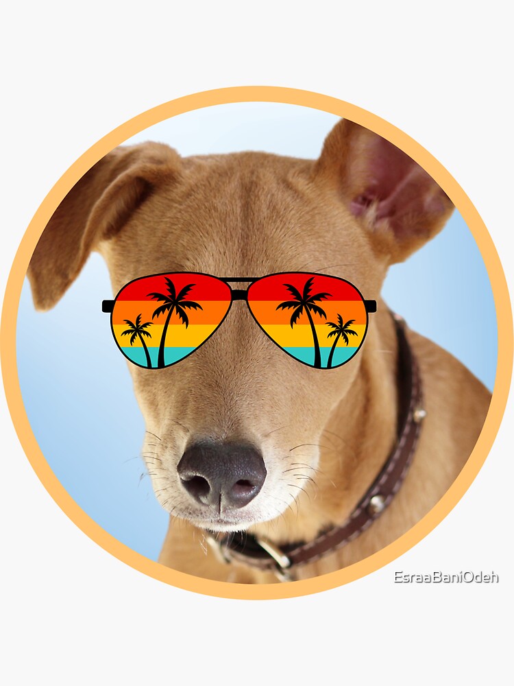 "Potcake with sunglasses for Dog Lover Dad Mom" Sticker for Sale by ...