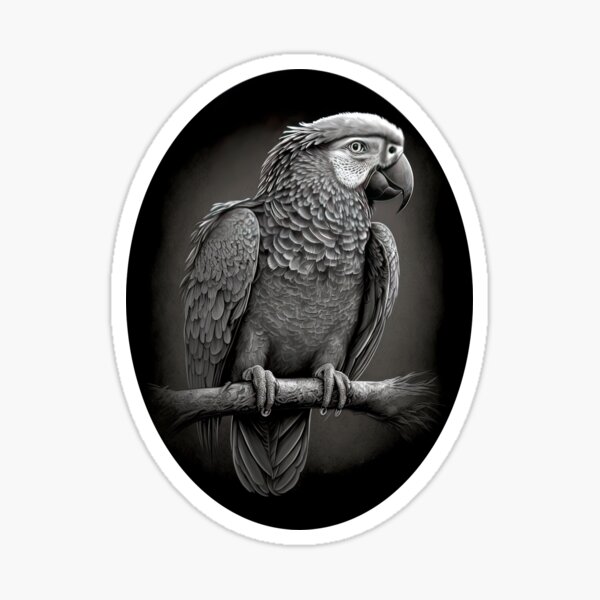 "African Grey Parrot" Sticker for Sale by JonHerrera | Redbubble