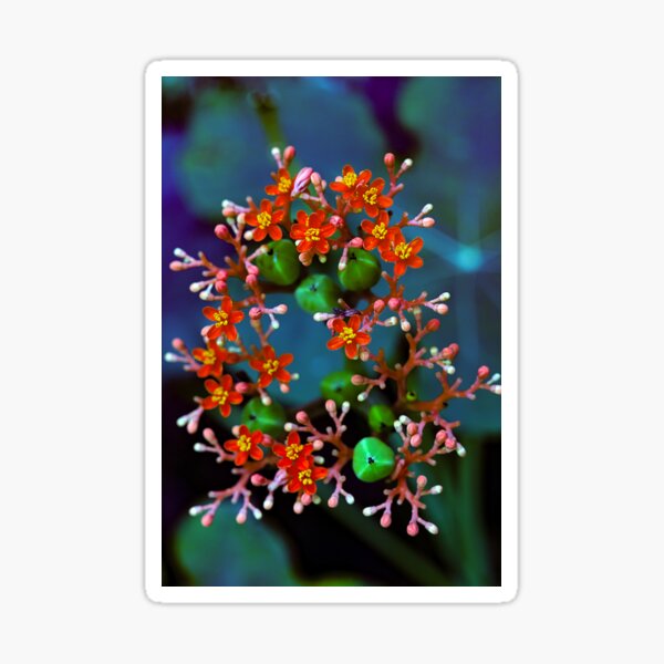 "RED FLOWER" Sticker for Sale by likbatonboot | Redbubble