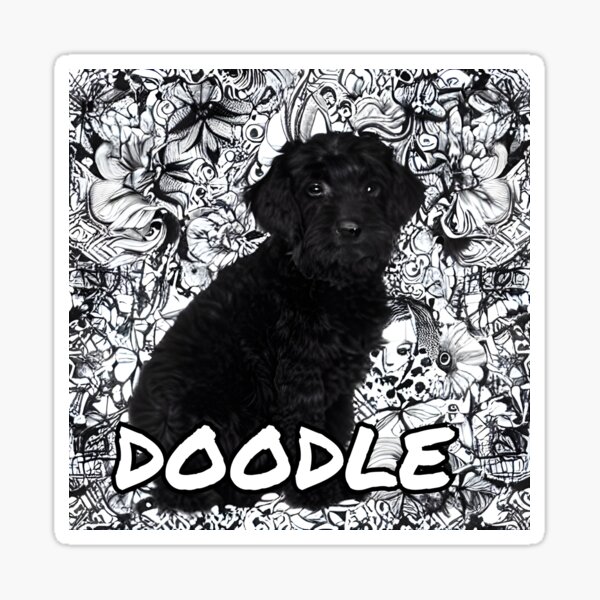 "Doodle dog labradoodle cockapoo " Sticker for Sale by Gayle1024 ...
