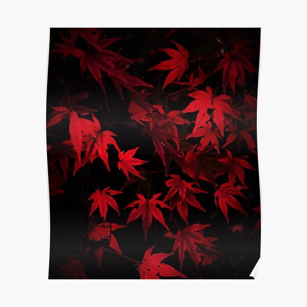 "Red maple leaf art" Poster for Sale by TaylorsGallery | Redbubble