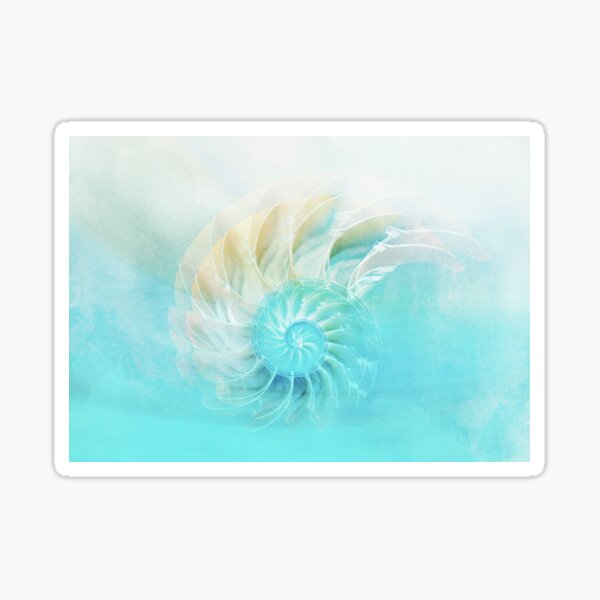 "Pale Blue Nautilus Shell" Sticker for Sale by jimde | Redbubble