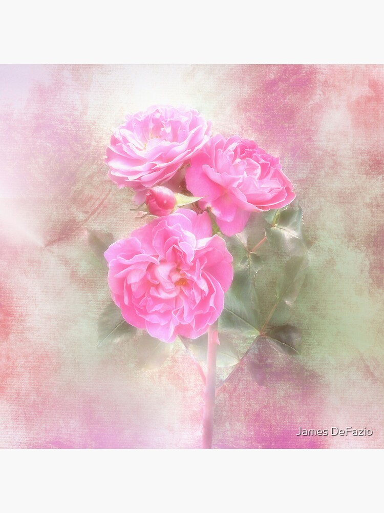 "Dreamy Pink Roses" Sticker for Sale by jimde | Redbubble