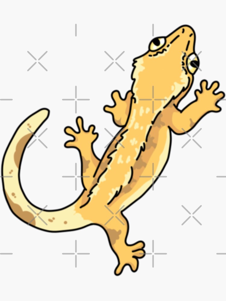 "Crested Gecko" Sticker for Sale by BasedOnArt | Redbubble
