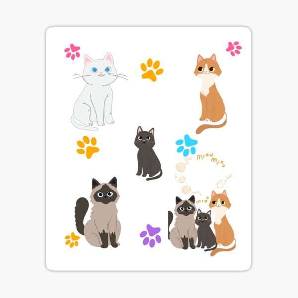 " Most likely to bring a cat home; cat lovers ; cute cat ; cate lover ...