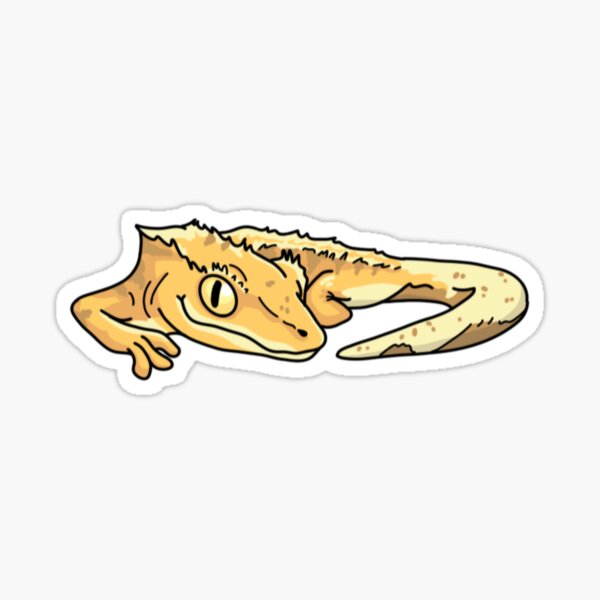 "Lying Crested Gecko" Sticker for Sale by BasedOnArt | Redbubble