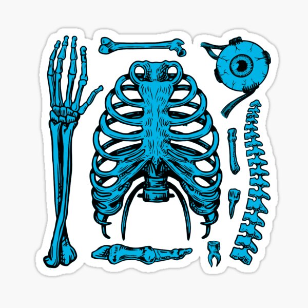 "skeleton bones v2" Sticker for Sale by lalatrash | Redbubble