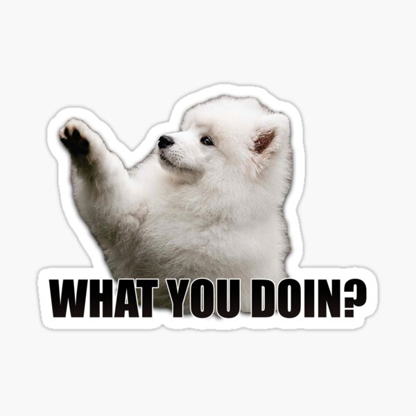 "Dog what you doing?" Sticker for Sale by JerryNag | Redbubble