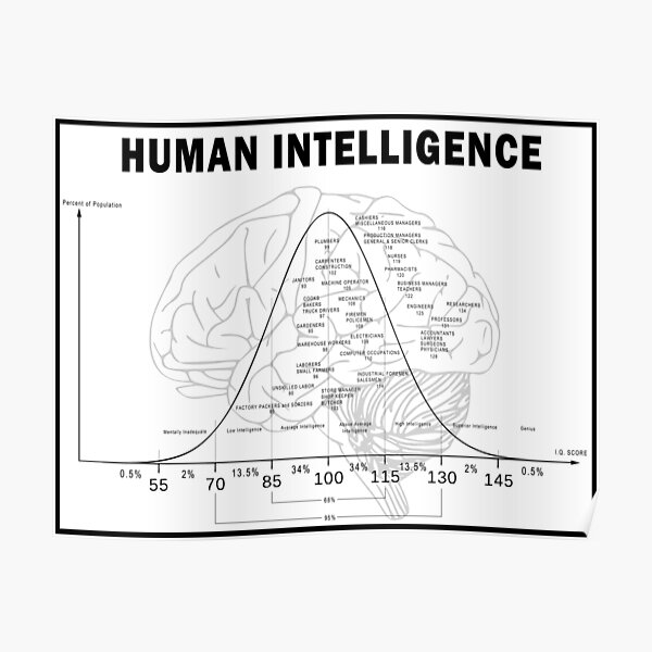 "Human Intelligence Graph" Poster for Sale by Daniel-Hagerman | Redbubble