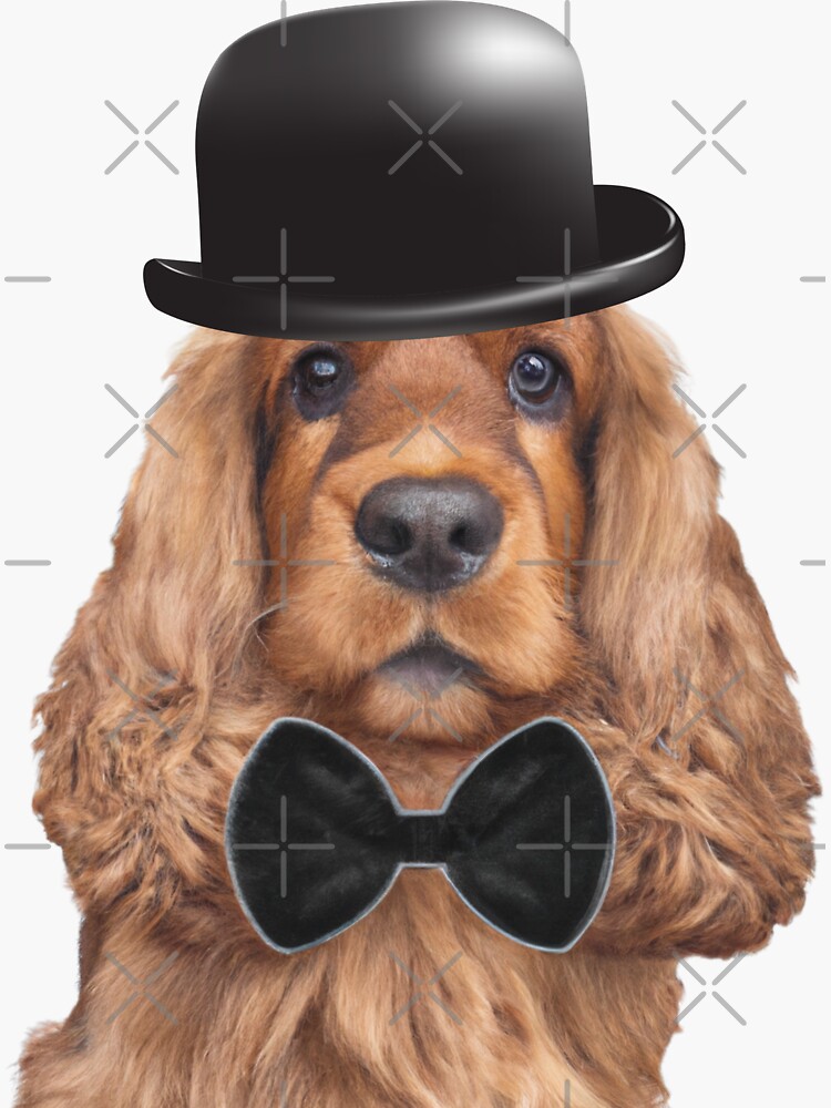 "Cocker Spaniel Bowler Hat" Sticker for Sale by Kattcatty | Redbubble