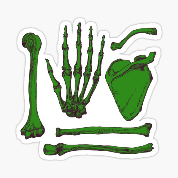 "hand bones" Sticker for Sale by lalatrash | Redbubble