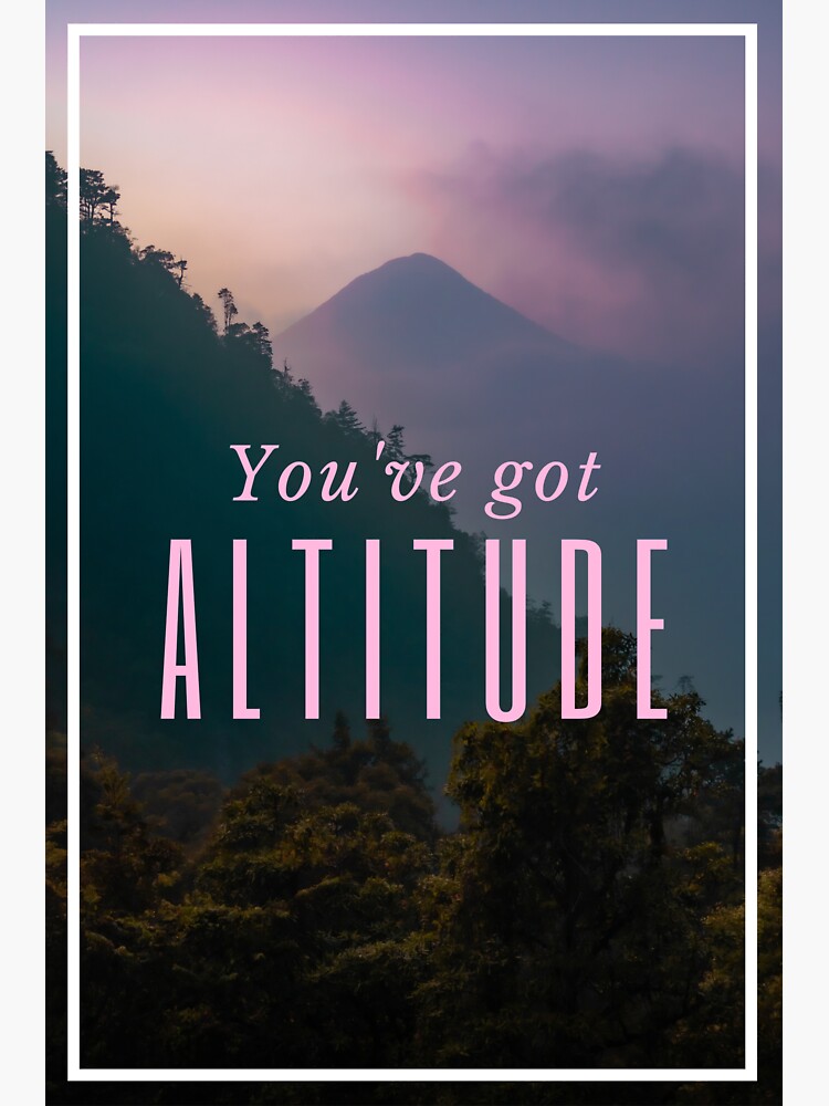 "You've Got Altitude Pun" Sticker for Sale by haleysvoyage | Redbubble