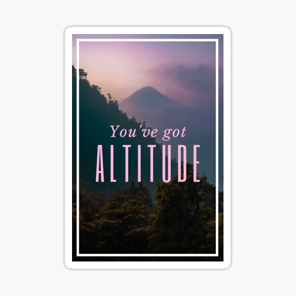 "You've Got Altitude Pun" Sticker for Sale by haleysvoyage | Redbubble
