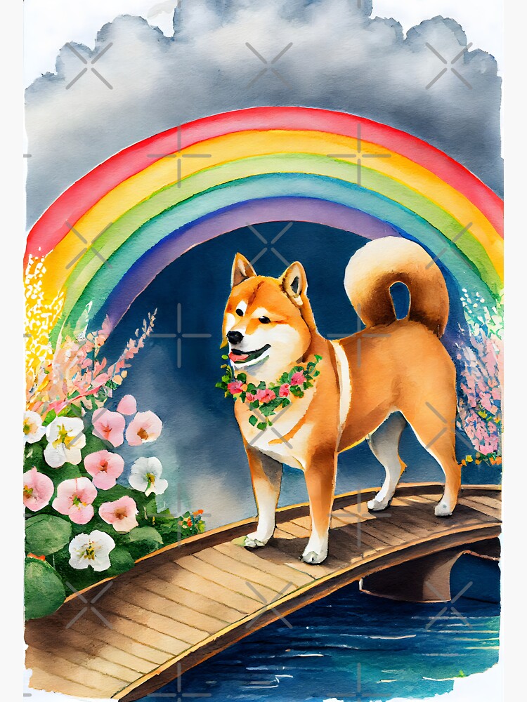 "Shiba Inu Shibe on the Rainbow Bridge Sympathy Watercolor Thinking of ...