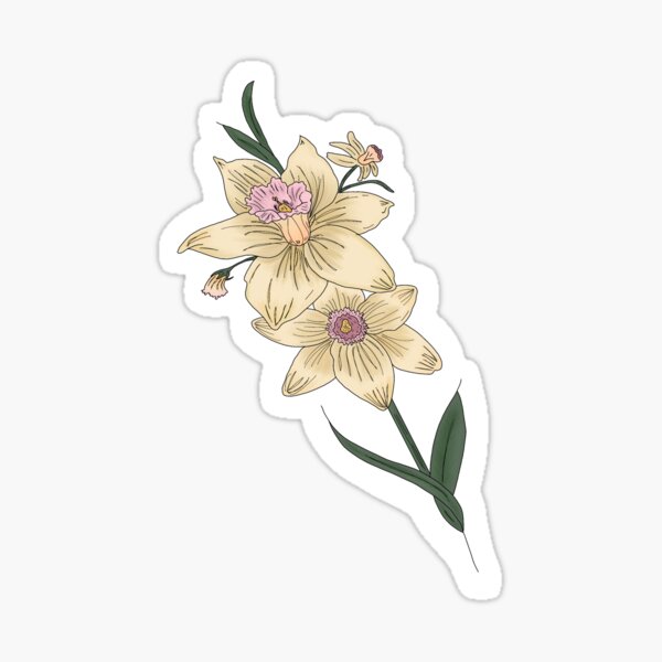"Daffodil flower bouquet " Sticker for Sale by kymbohcreates | Redbubble