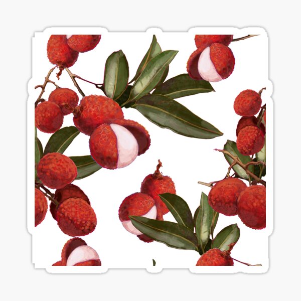 "Lychee Berry" Sticker for Sale by TheeFlea | Redbubble