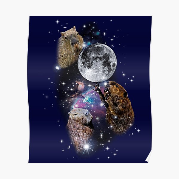 "Three Moon Capybaras, Gift For Sloth, Rodents Mammals Ferret Lovers ...
