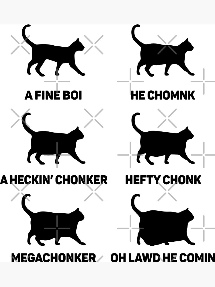 "Chonk Cat Chart" Poster for Sale by PearlDolan | Redbubble