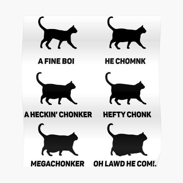 "Chonk Cat Chart" Poster for Sale by PearlDolan | Redbubble