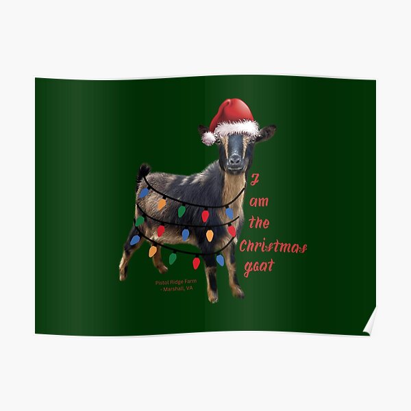 "Christmas Spirit | Holiday Goats | Christmas Goats | Cute Goats ...