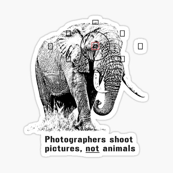 "Anti-hunting Elephant Design for Photographers" Sticker for Sale by ...