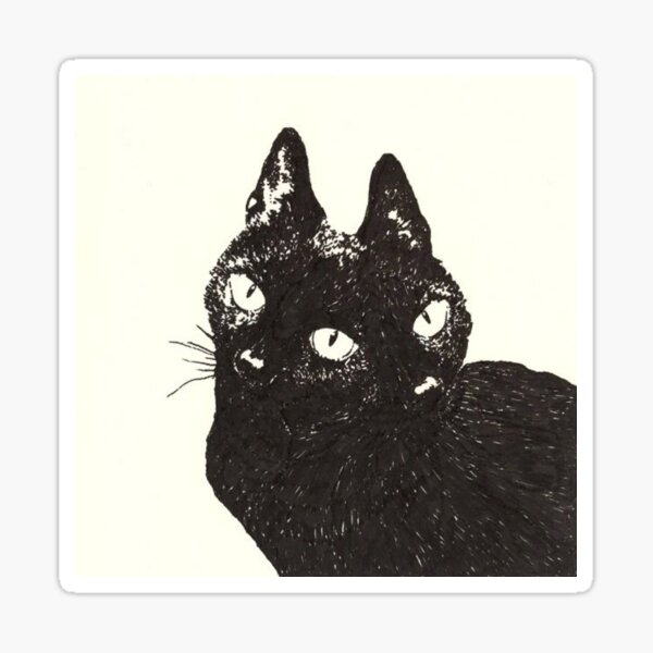 "KITTY" Sticker for Sale by AvomilaDesign | Redbubble
