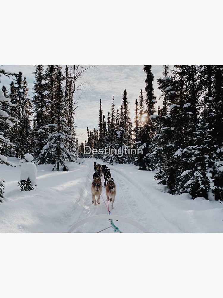 "Alaskan Dog Sledding " Sticker for Sale by Destinyfinn | Redbubble