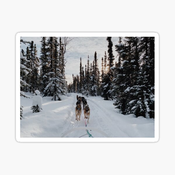"Alaskan Dog Sledding " Sticker for Sale by Destinyfinn | Redbubble